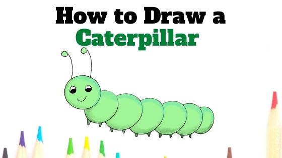 how to draw a caterpillar