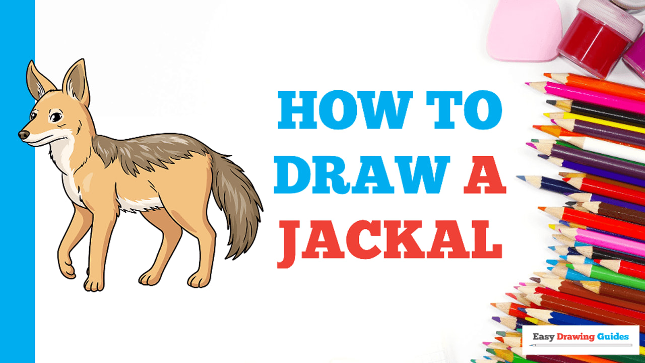 How To Draw A Jackal Face