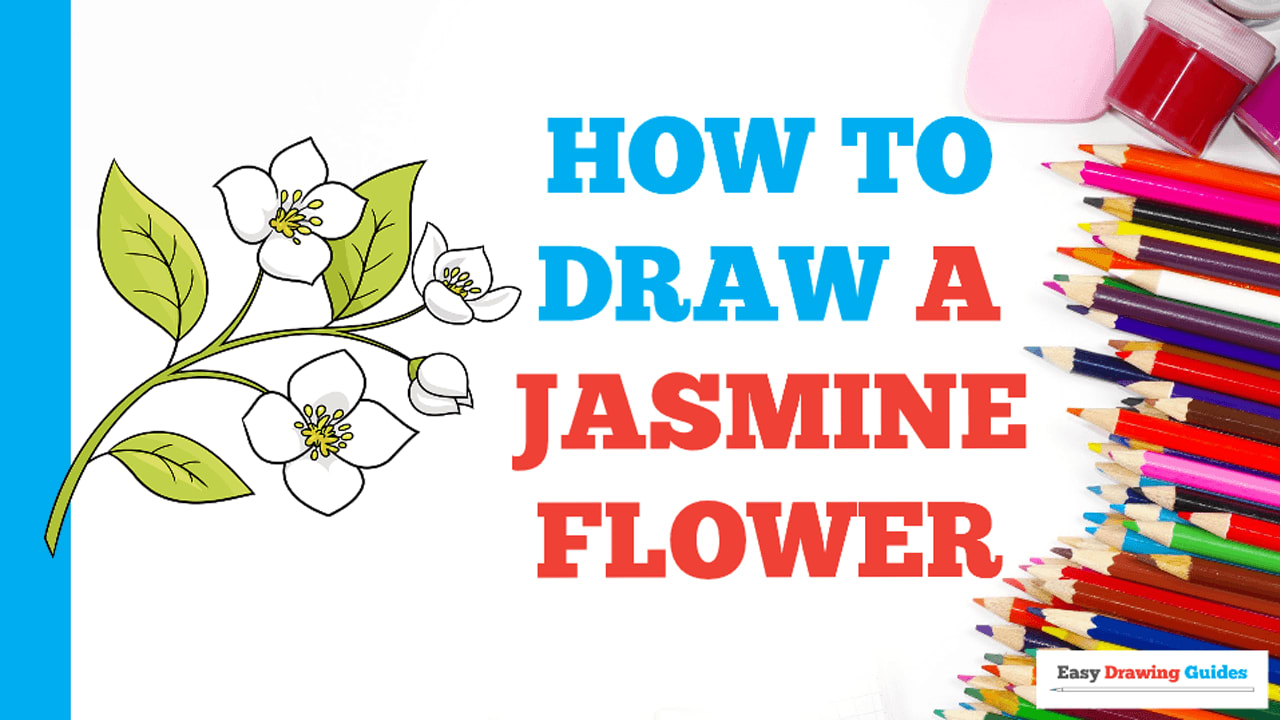 how to draw easy jasmine