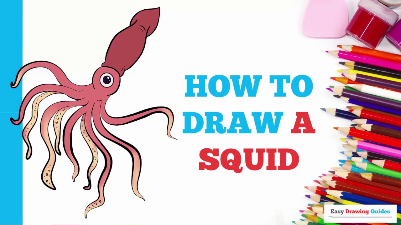 draw squid