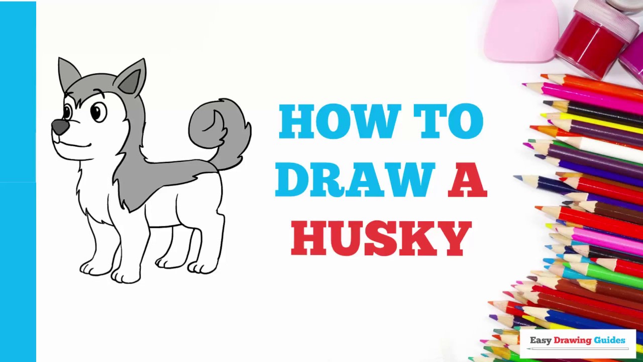 how to draw a dog husky step by step