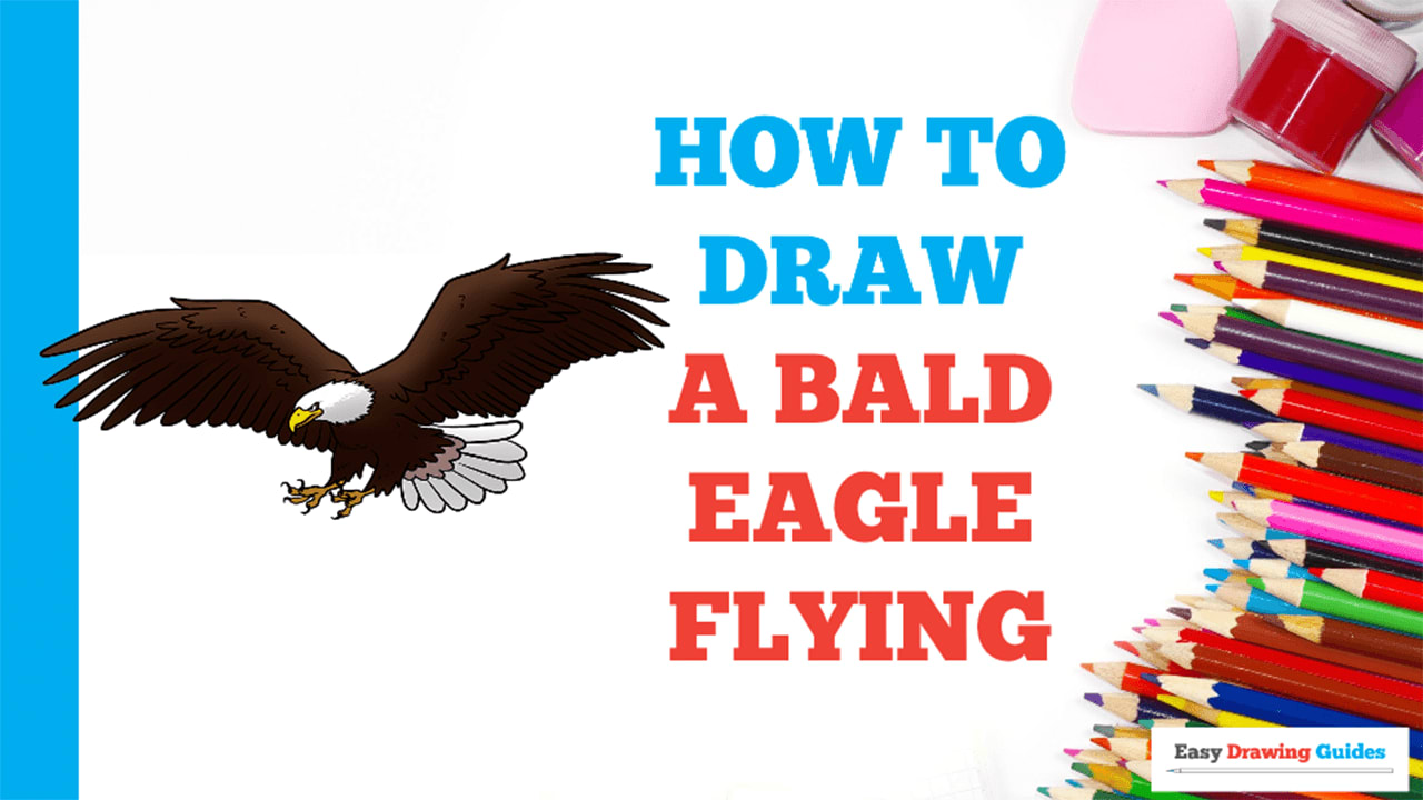how to get how to draw a eagle