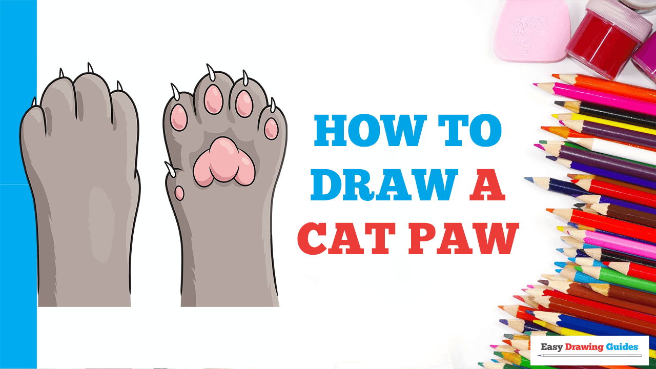 how to draw cat paws prints