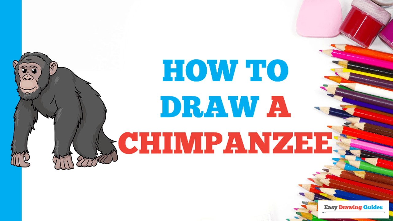 easy simple chimpanzee drawing