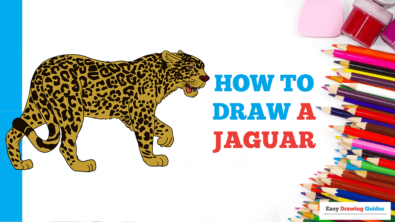 how to draw a jaguar eye