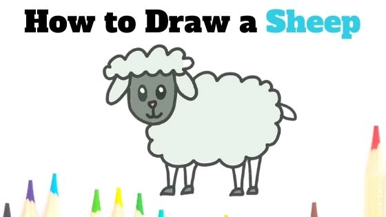 simple sheep drawing cute