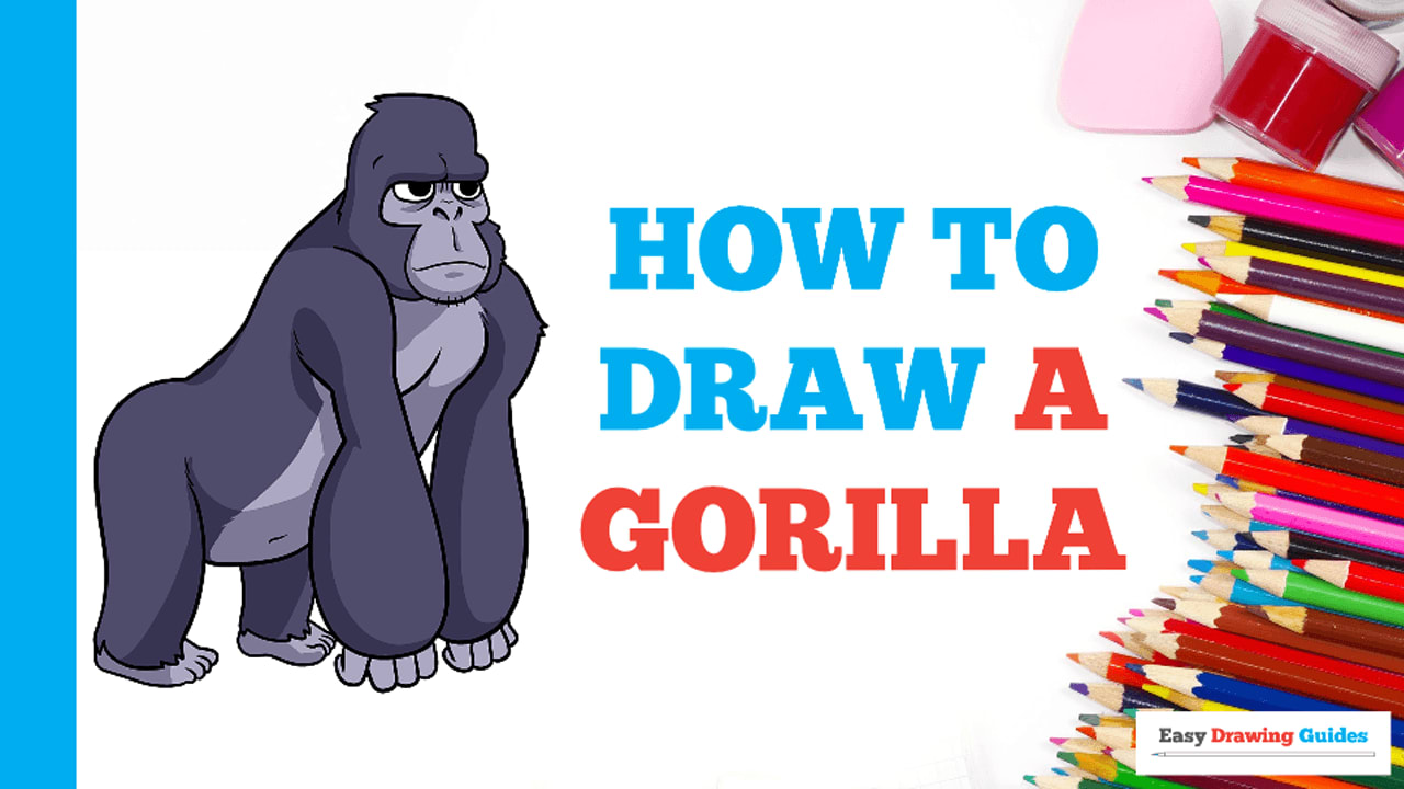 how to draw a gorilla