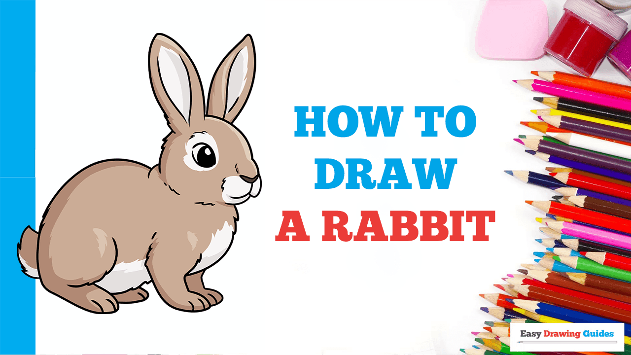 how to draw anime rabbit