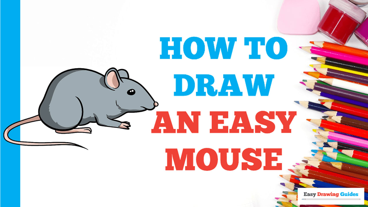 how to draw a rat