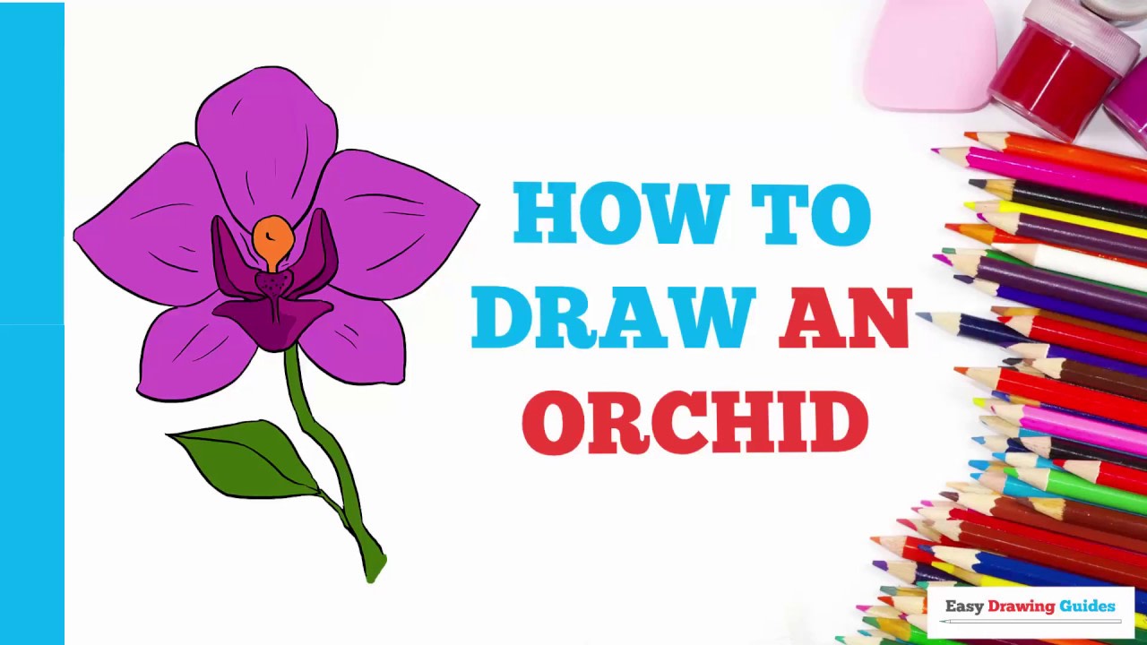 how to draw an orchid step by step easy