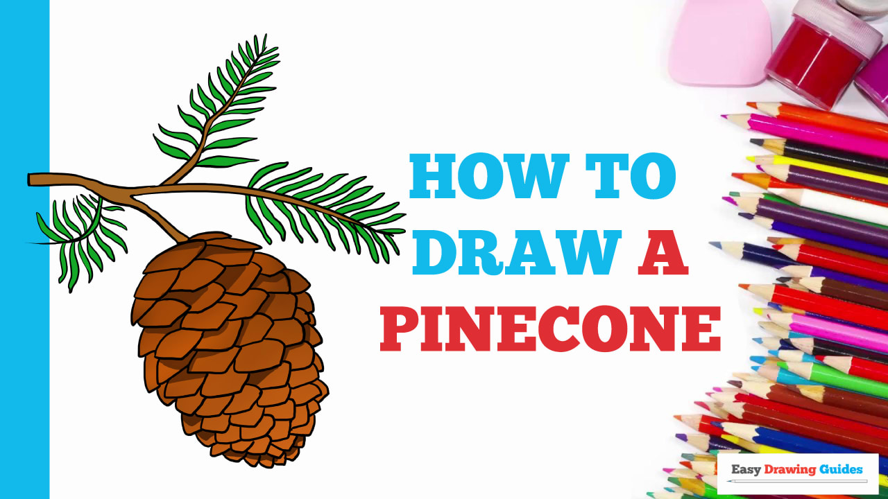 how to draw pine leaves
