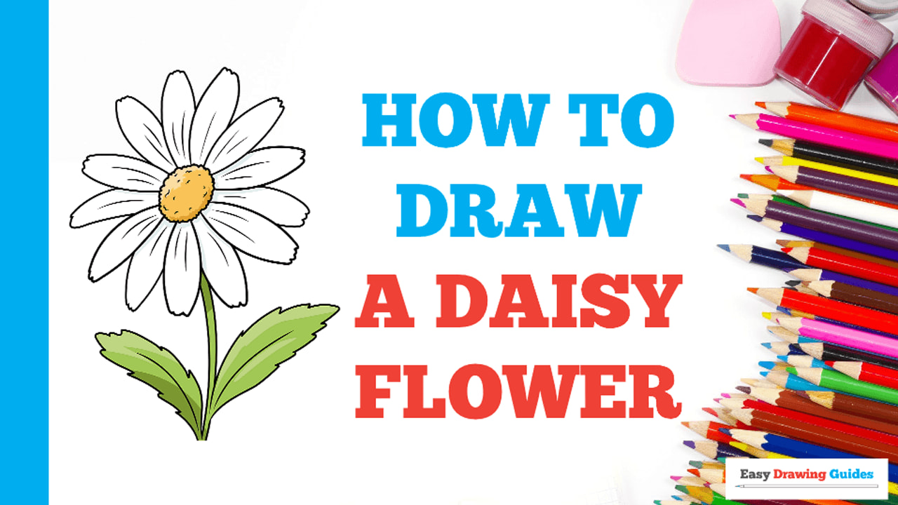 how to draw daisy leaves