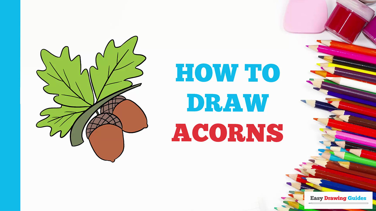 acorn drawing tutorial