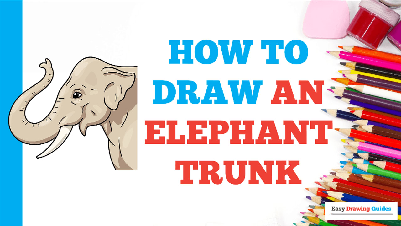 how to draw an elephant step by step youtube