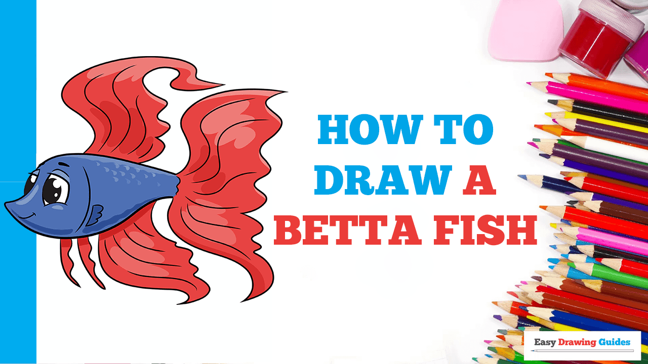 how to draw betta fish step by step