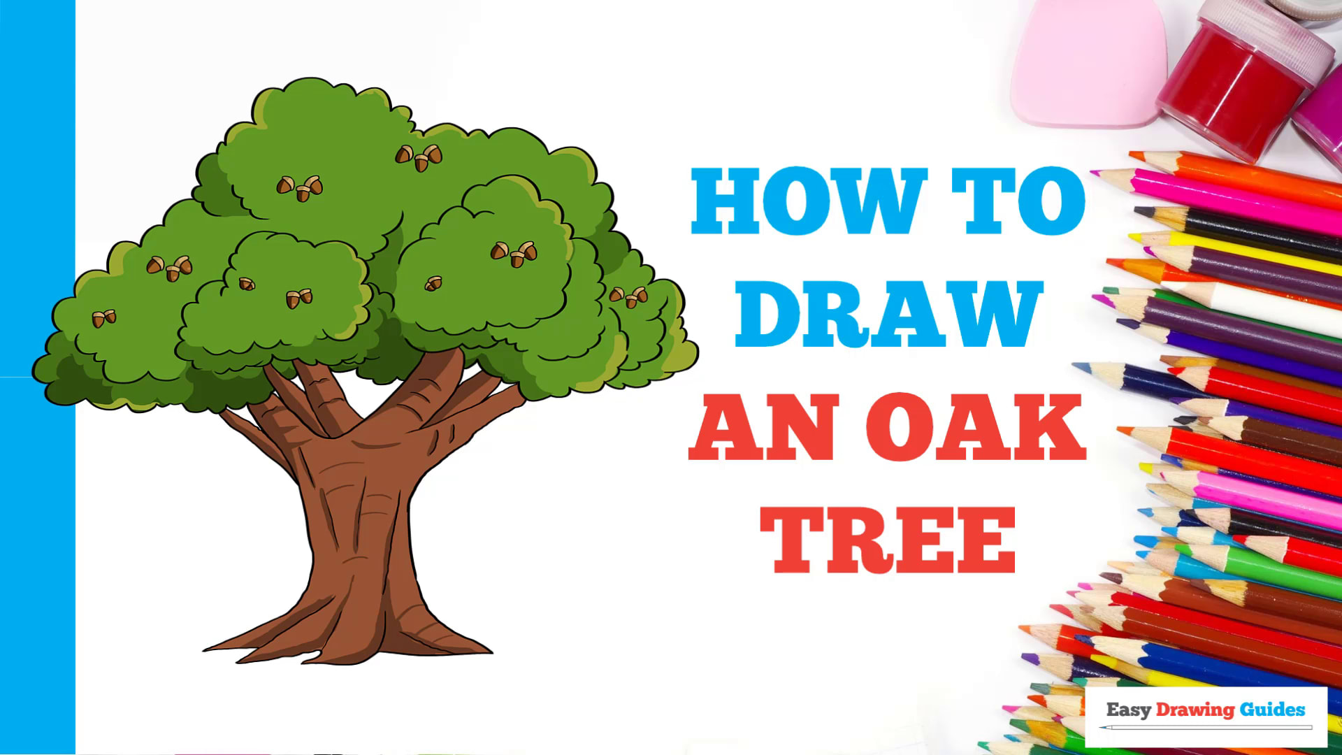 oak tree drawing easy