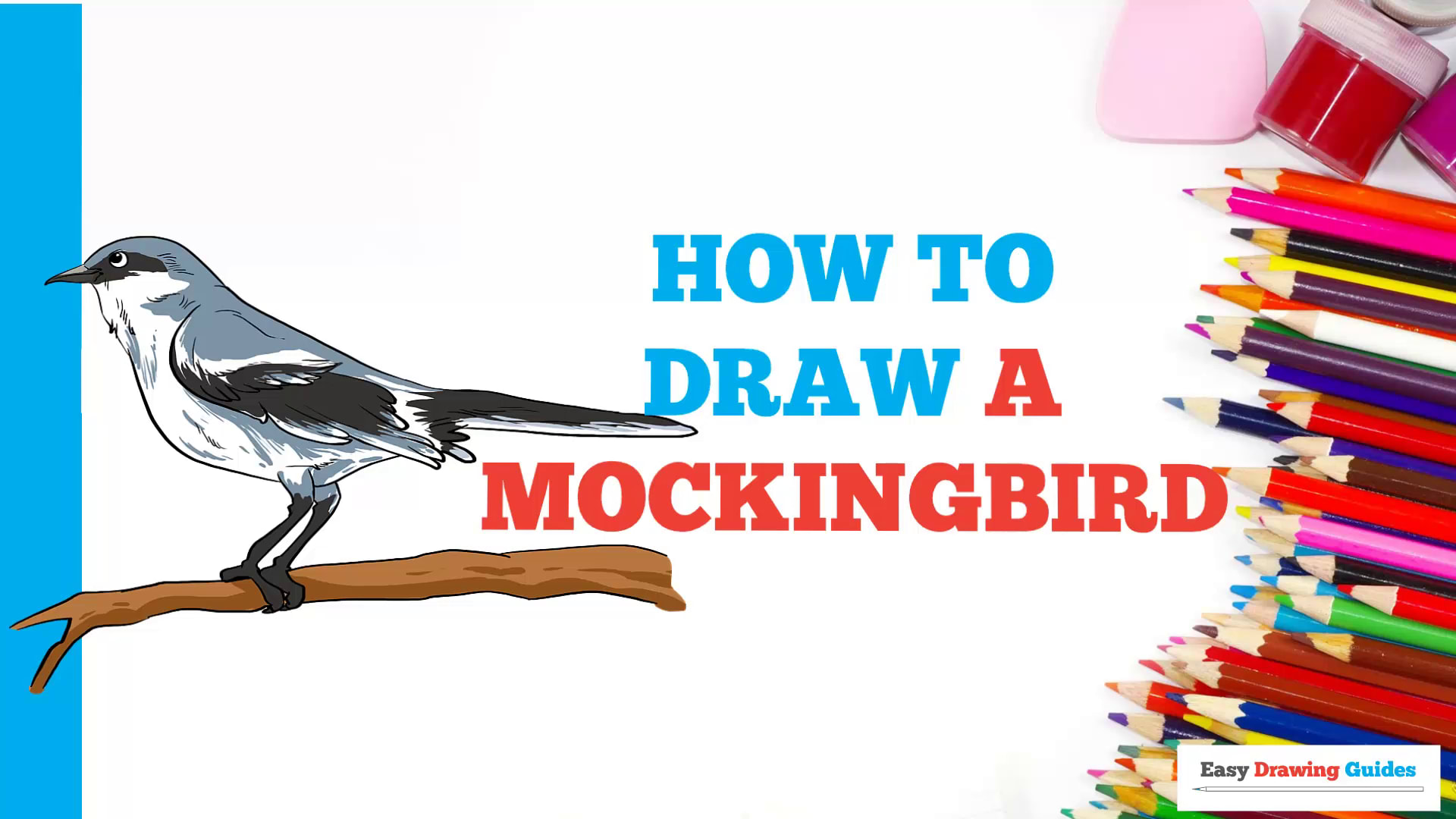 how to draw a mockingbird