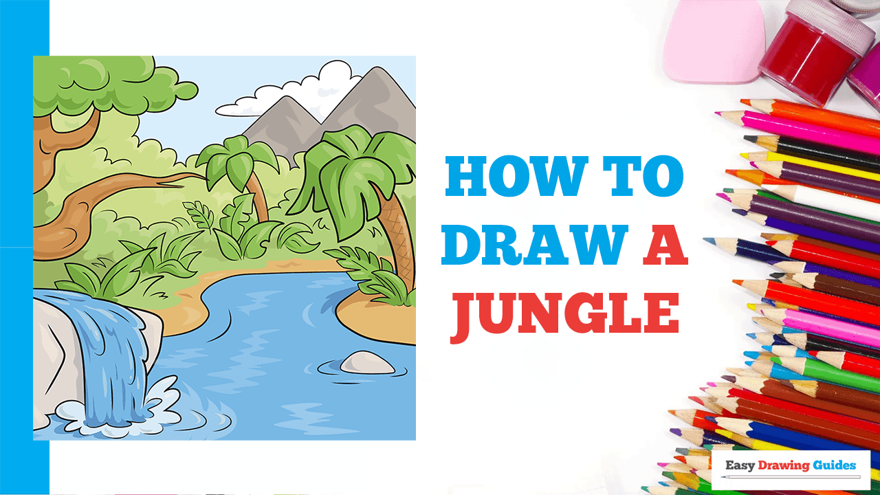 how to draw a rainforest￼