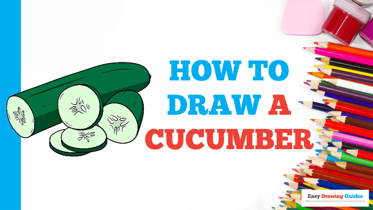 how to draw a sea cucumber for kids