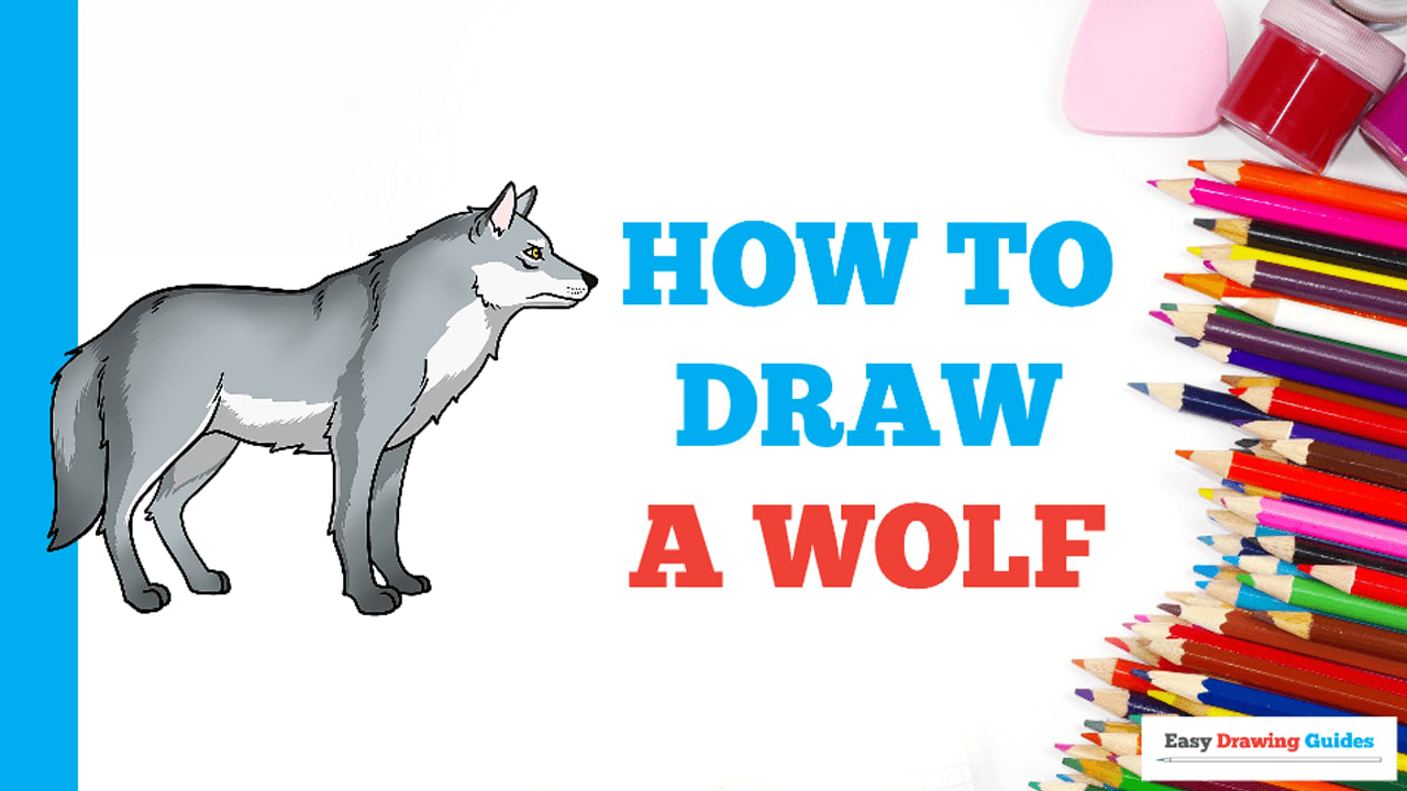 how to draw a furry wolf easy