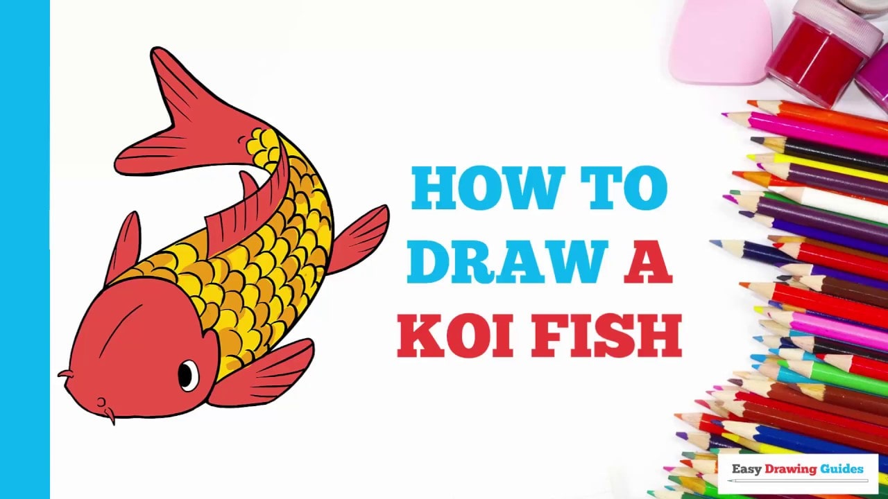 how to draw a koi fish step by step easy