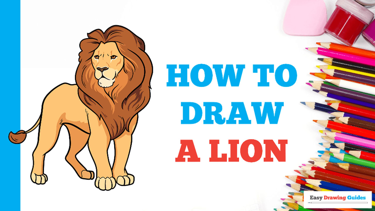 how to draw a lion face video