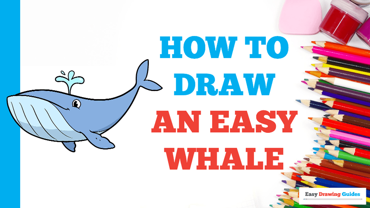 how to draw easy whale