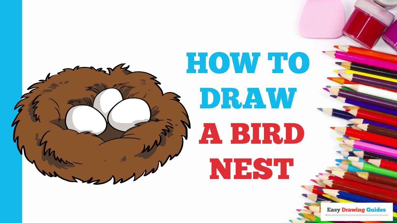 how to draw birds nest