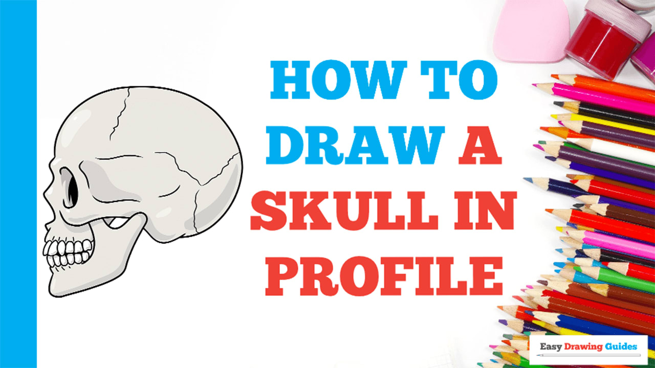 how to draw a skull in profile