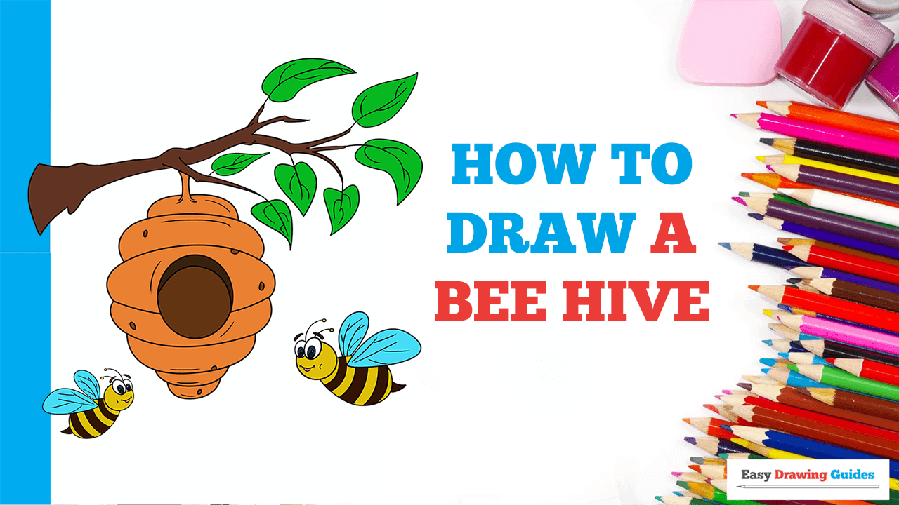 beehive drawing