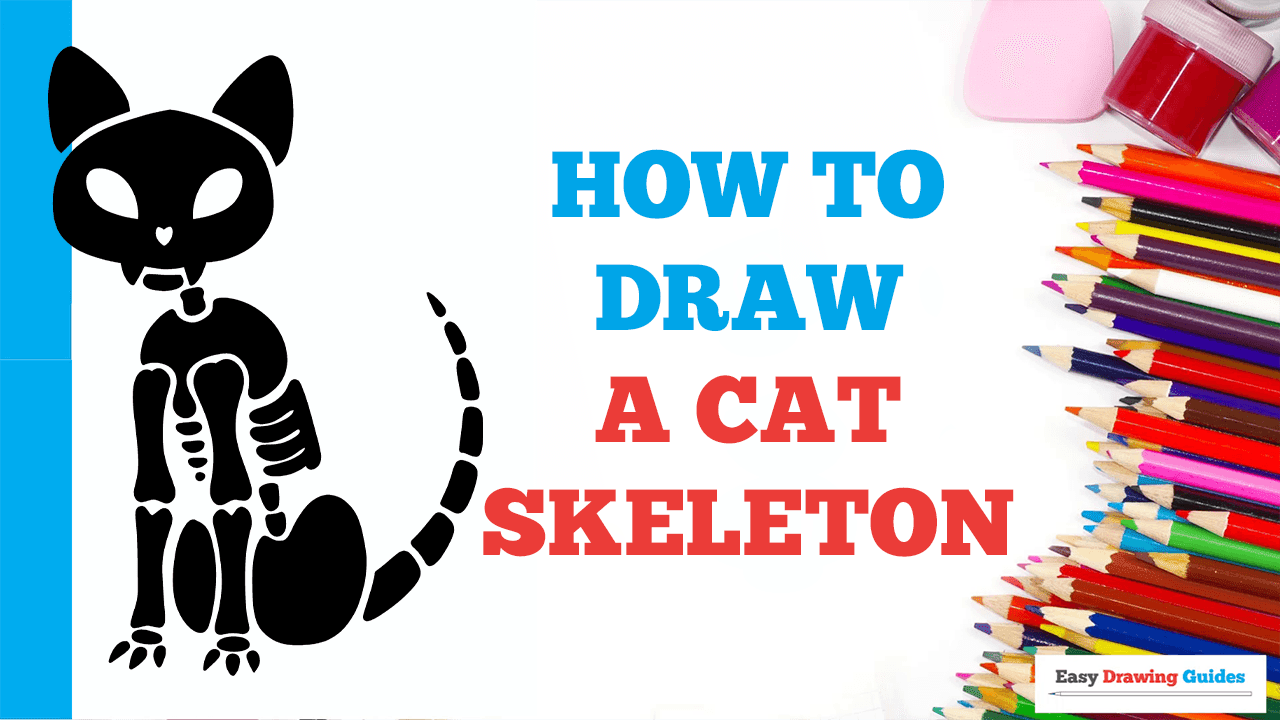 skeleton cat drawing easy