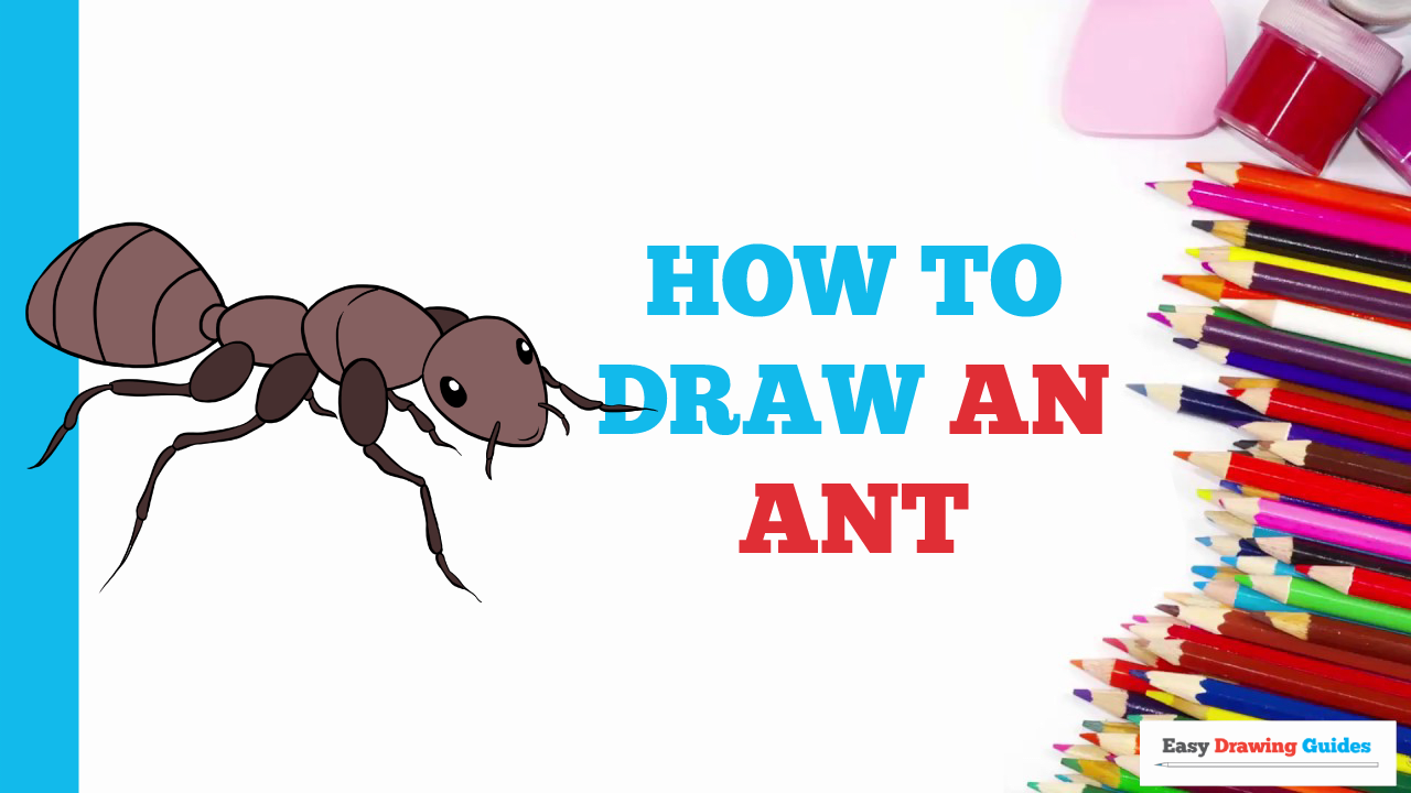 how to draw leaf cutter ants