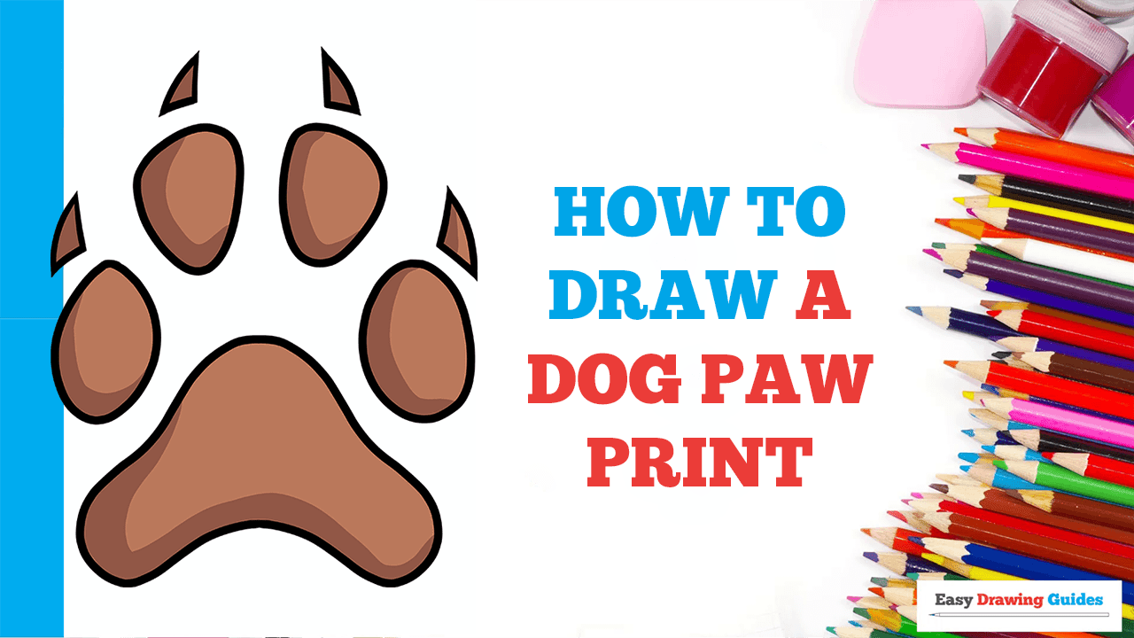 how to draw a puppy paw step by step
