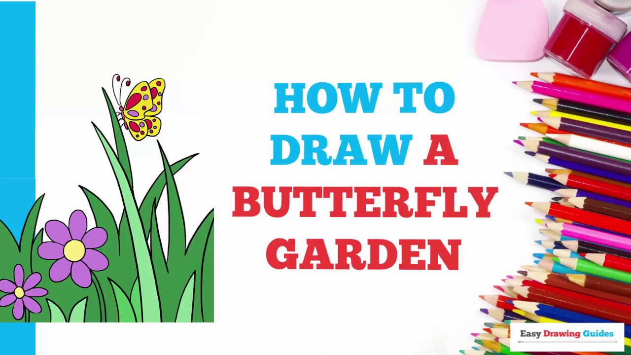 how to draw a butterfly habitat