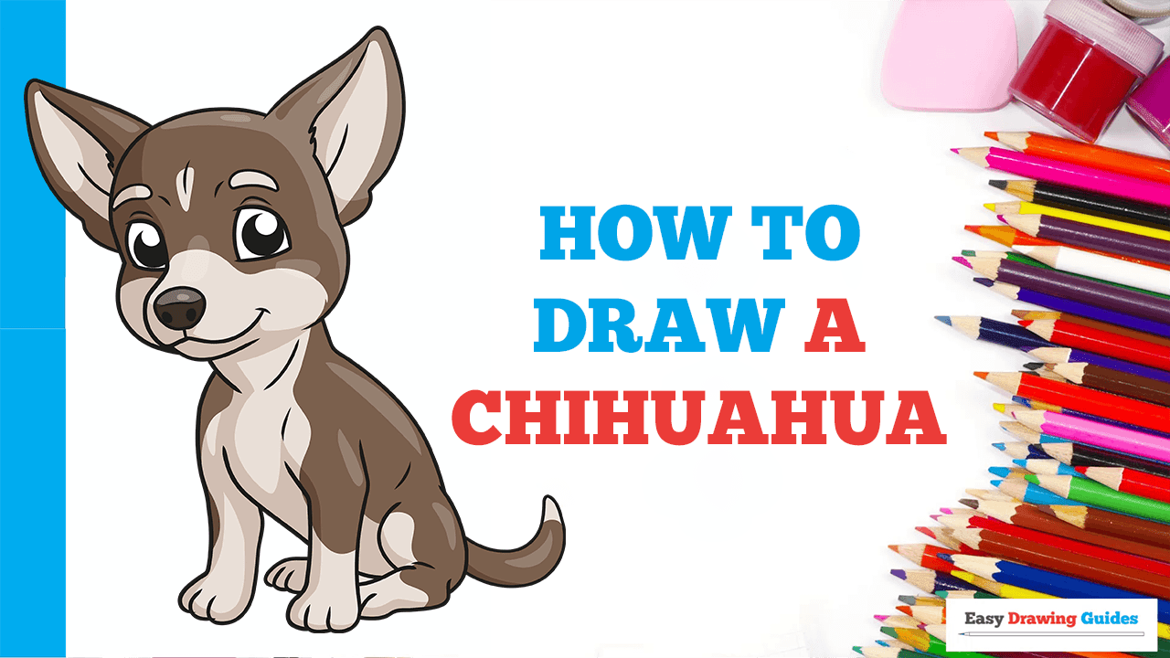 how to draw chihuahua dog