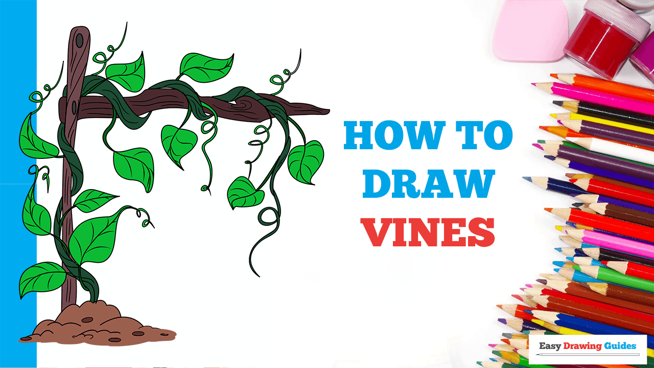 how to draw realistic vines