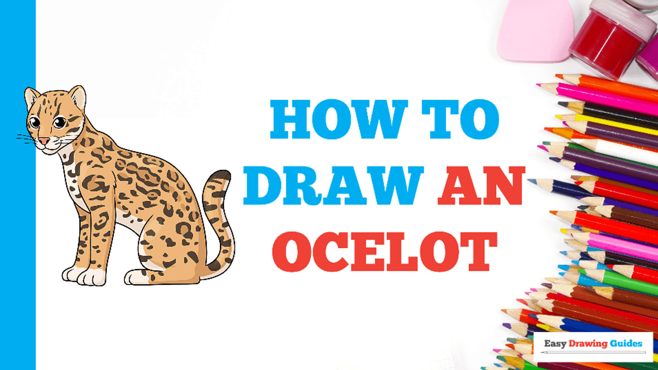 ocelot drawing easy