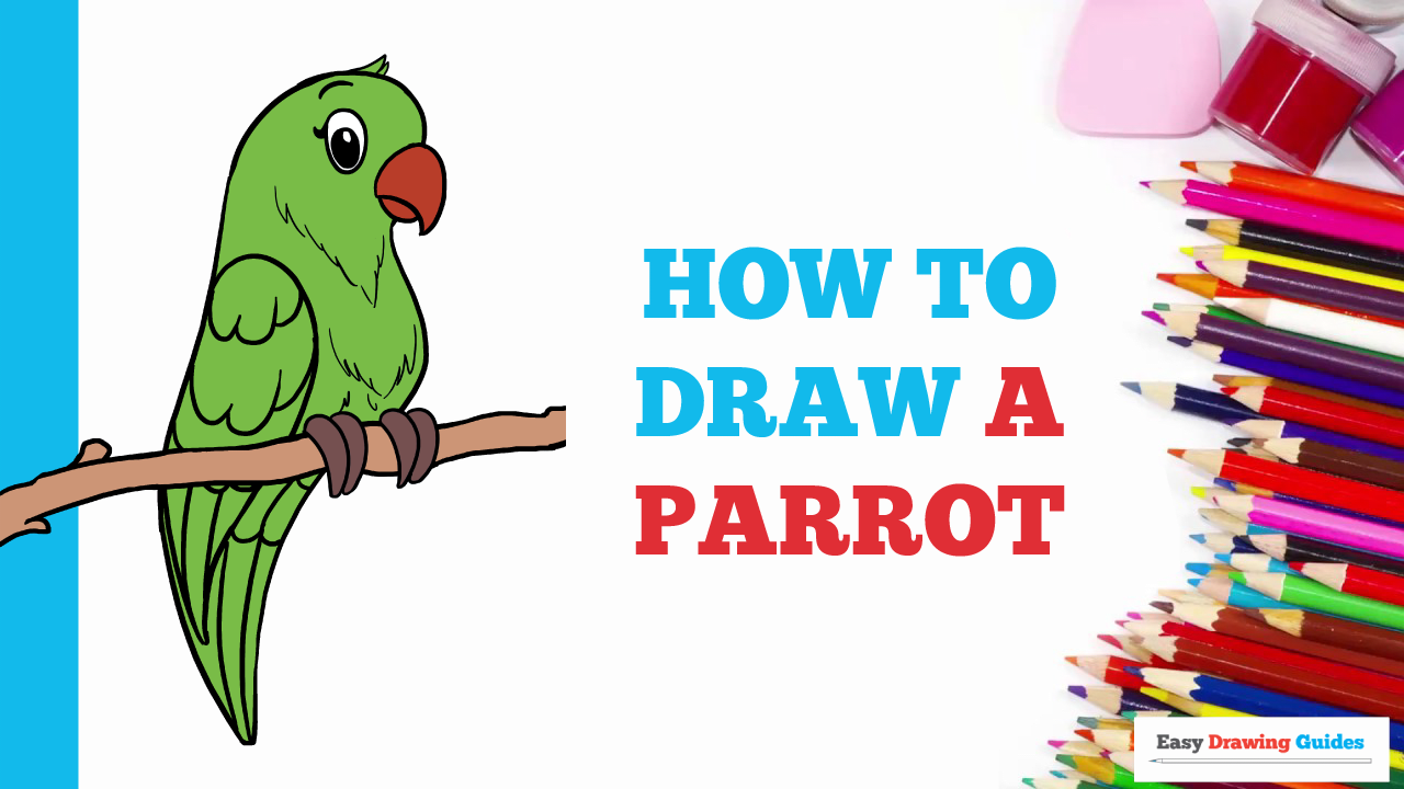 how to draw easy parrot