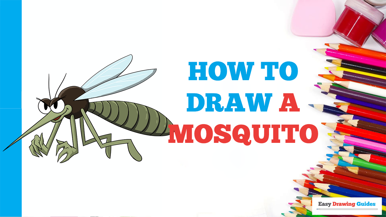 how to draw mosquito