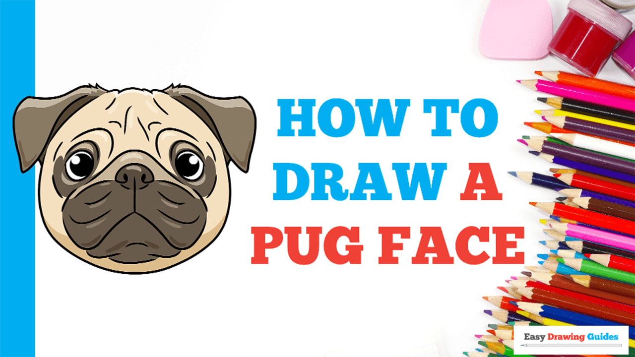how to draw dog pug
