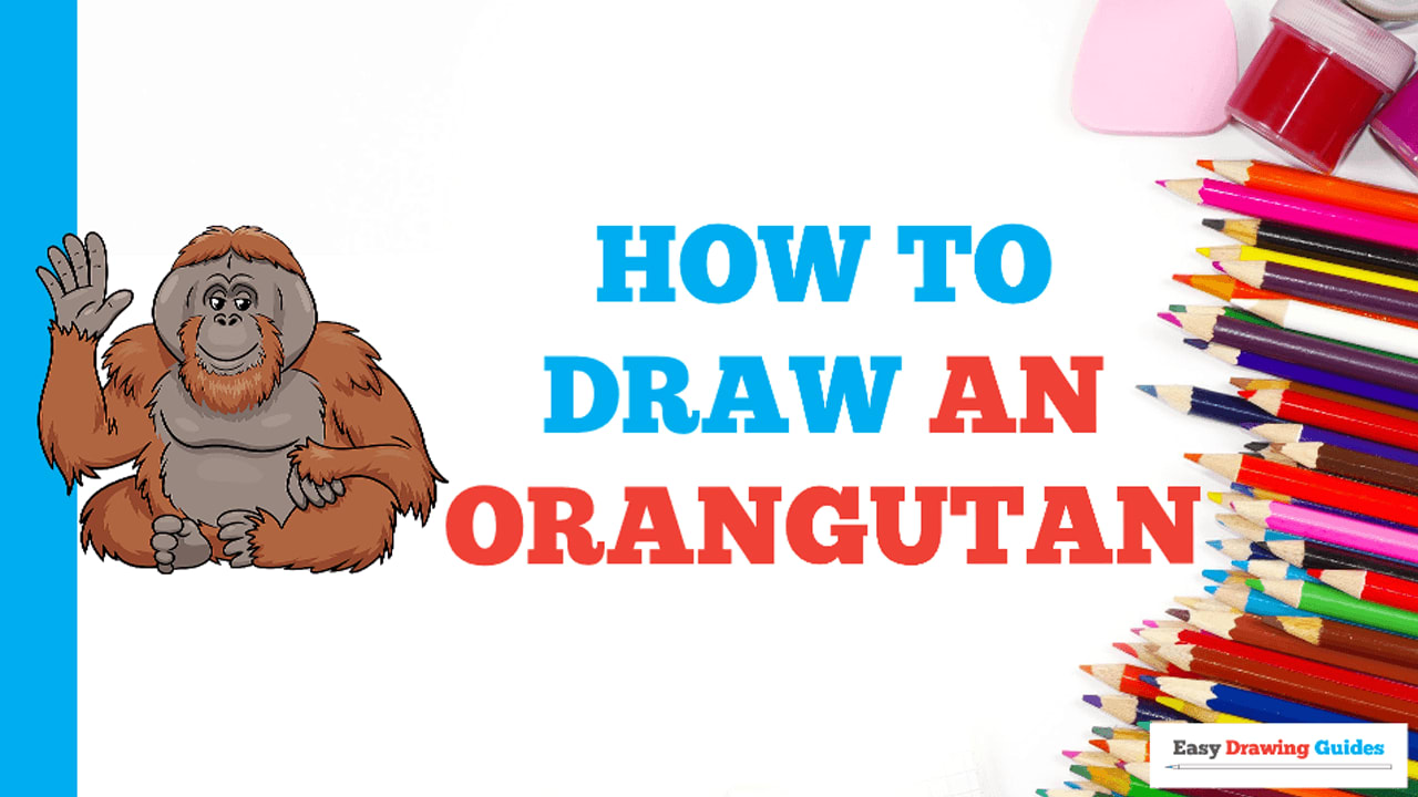 orangutan drawing tutorial