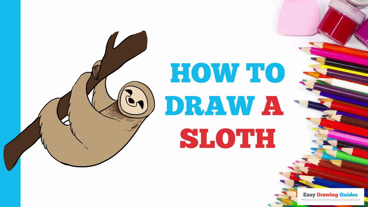 draw along sloth