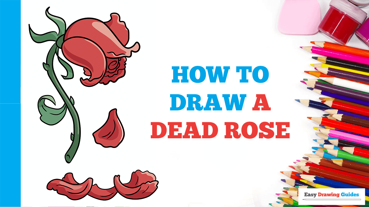 how to draw a rose lying down