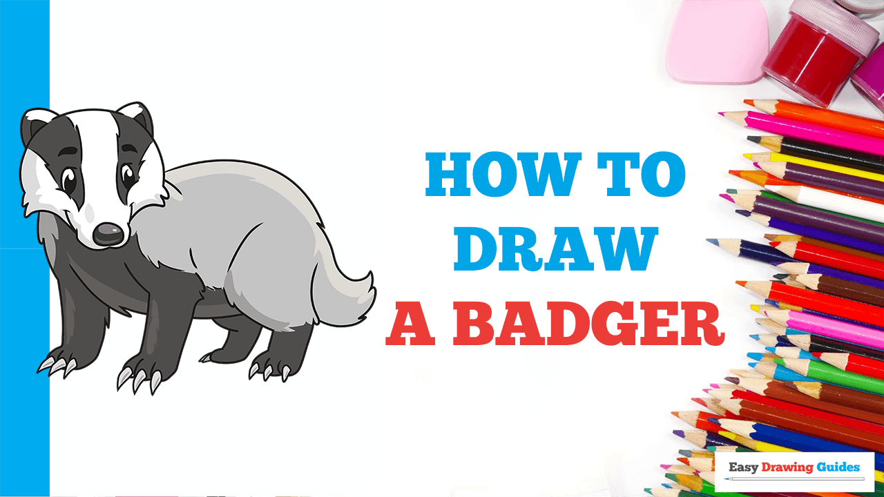 how to draw badger ears