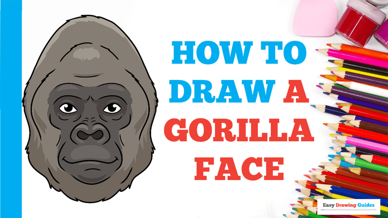 how to draw a mountain gorilla easy