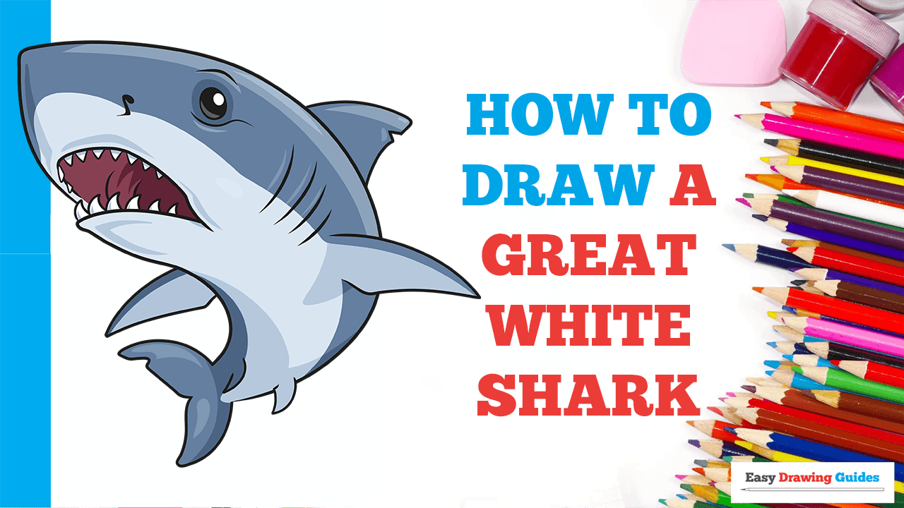 great white shark drawing tutorial