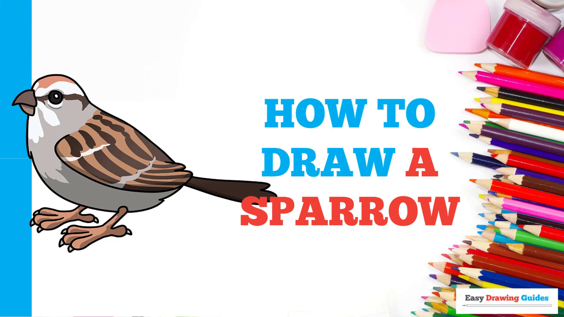 sparrow drawing