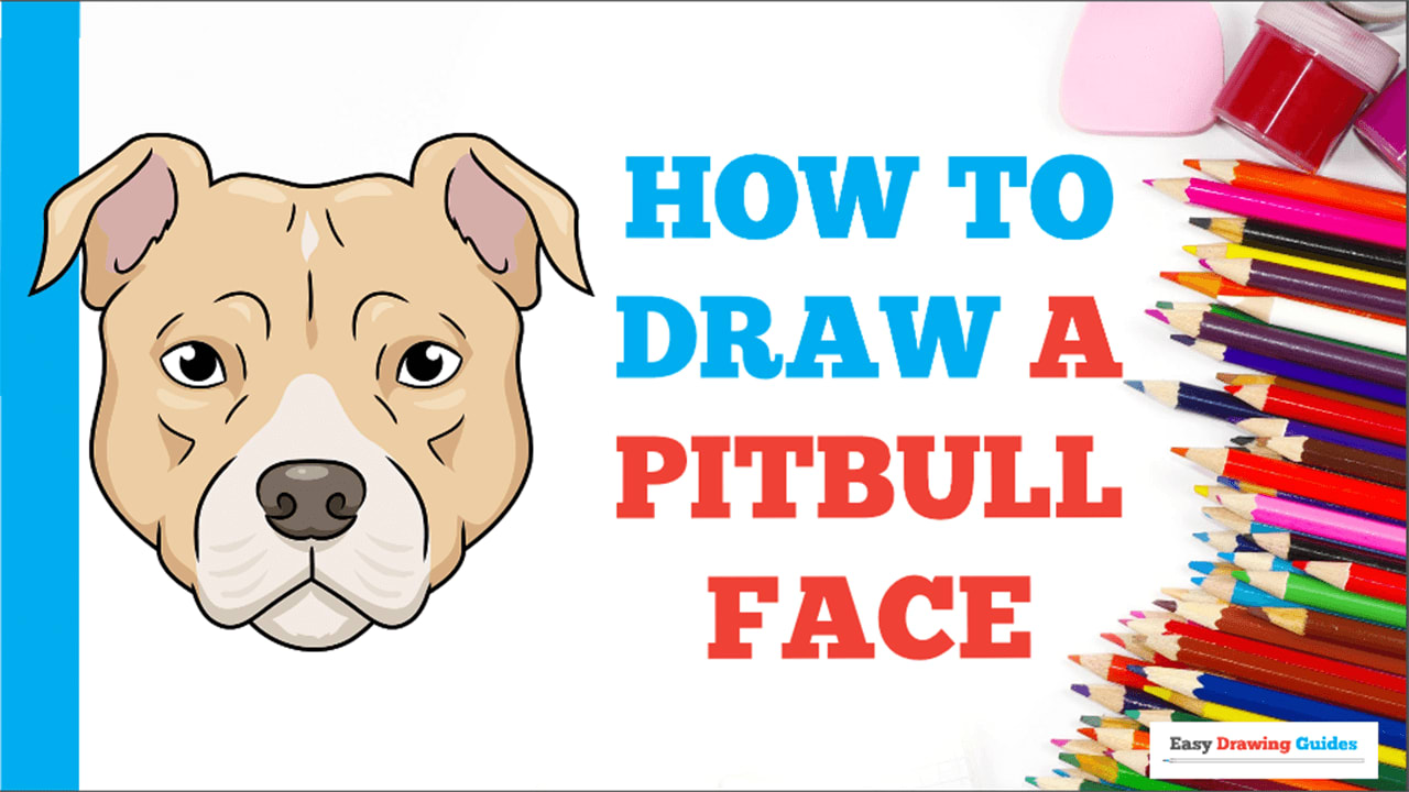 how to draw dog pitbull