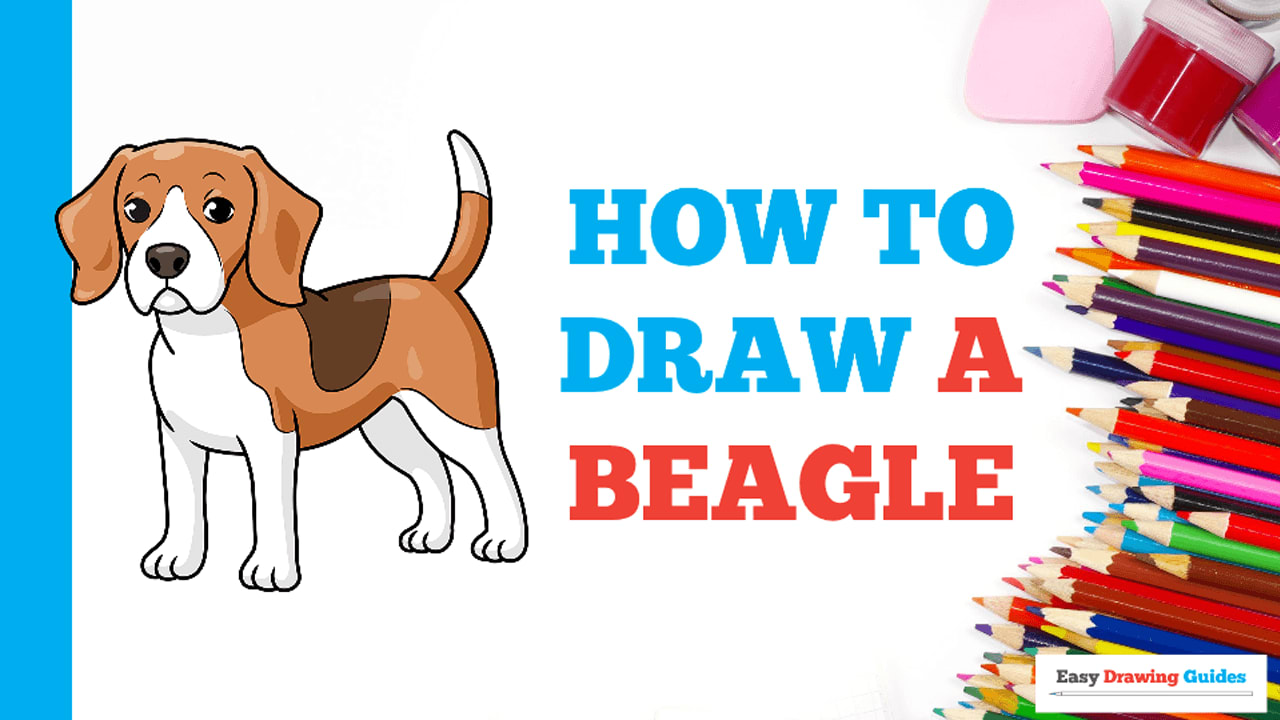 how to draw beagle ears