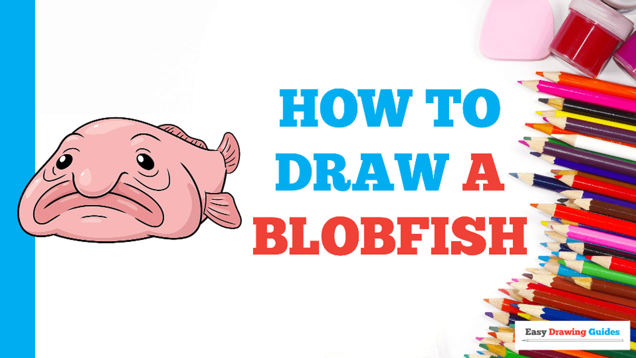 blobfish drawing easy
